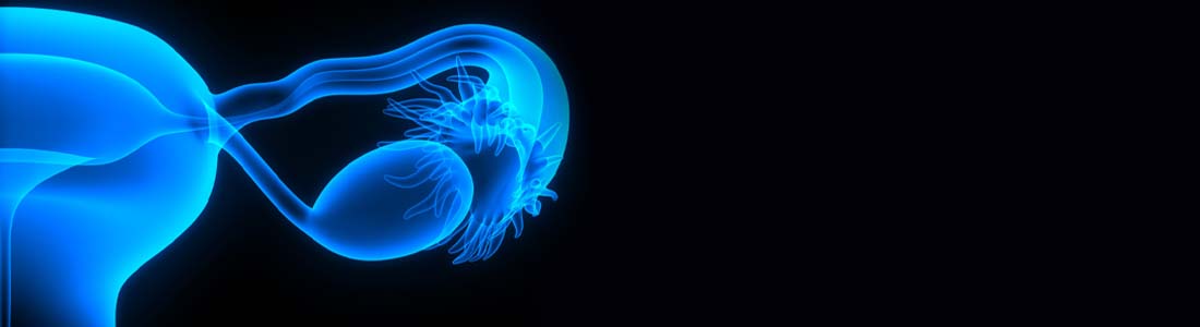 Nowotwór jajnika Typy morfologiczne | Krajowy Rejestr Nowotworów